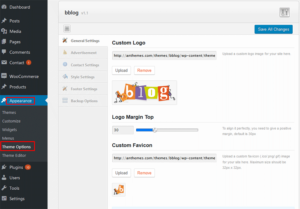 Theme Options - Anthemes.com