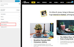 Theme Options - Anthemes.com