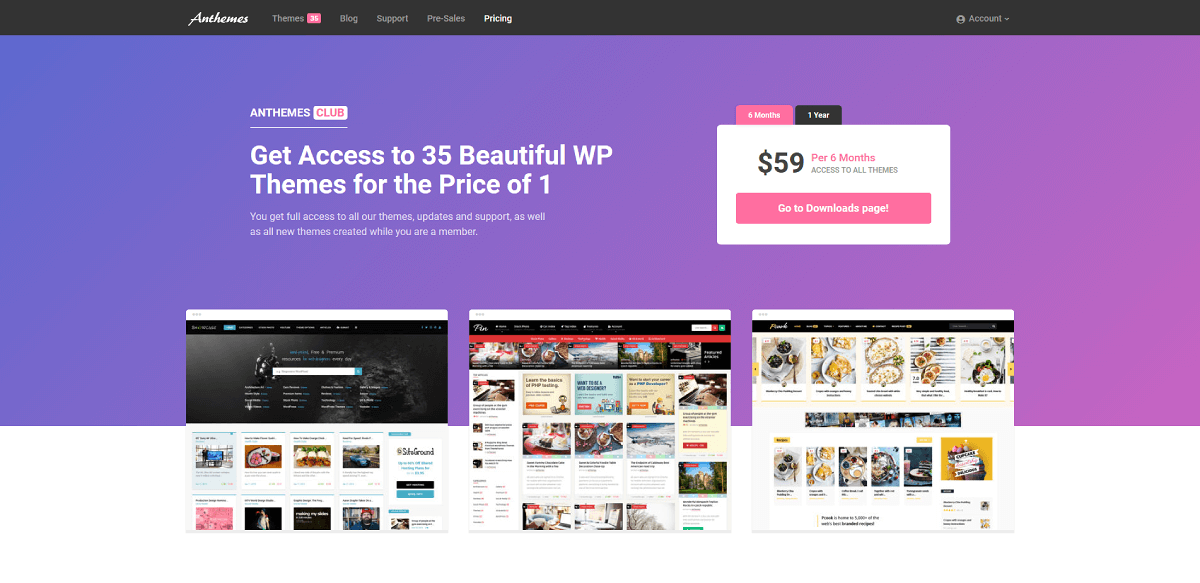 Simple WordPress Themes for Bloggers - Anthemes.com