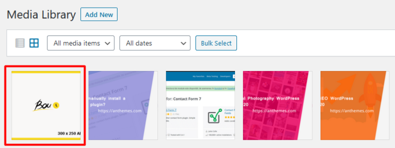 How do I Insert Images in a WordPress Blog Using HTML Code?