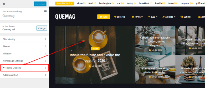 Theme Options - Anthemes.com